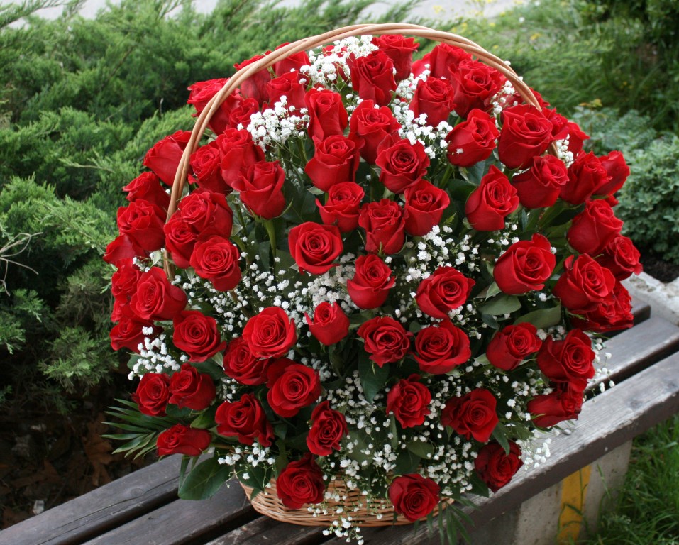 Cvećara Iva | Predivni cvetni aranžmani